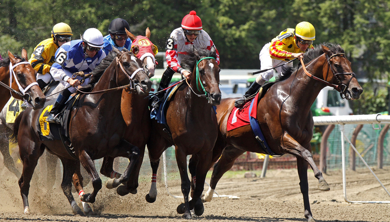 Horse Racing Tours, Packages and Specialised Global Travel